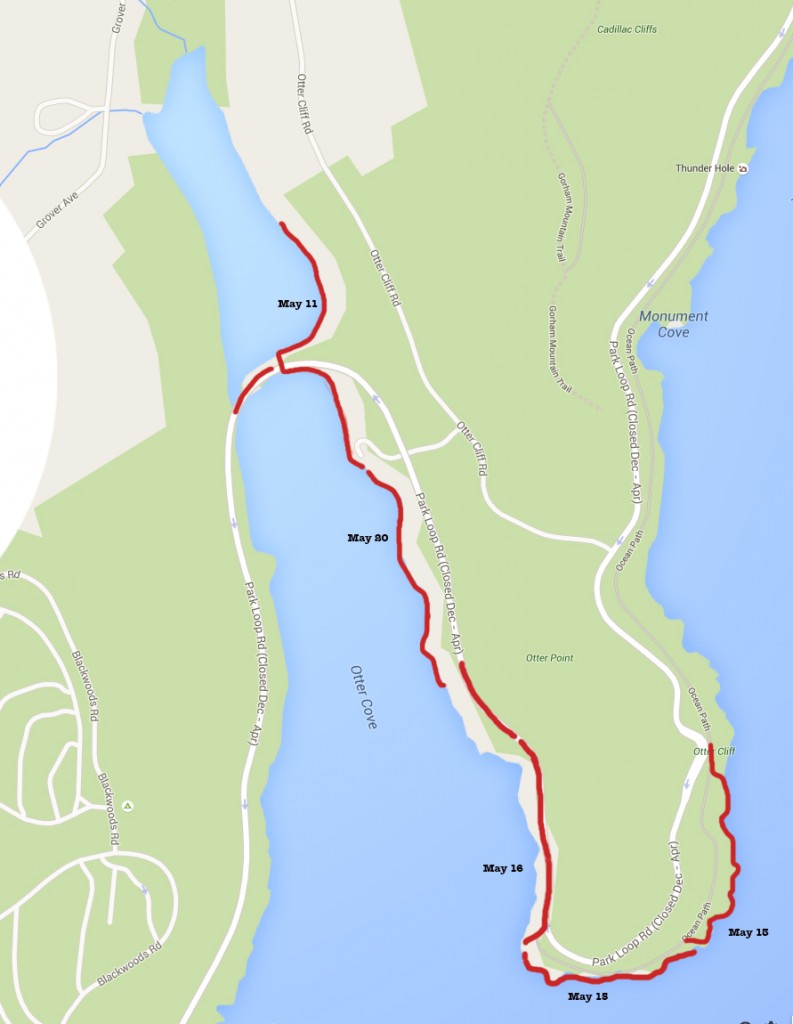 Coast Walk 10: East Side of Otter Cove, part 1 – The Coast Walk Project