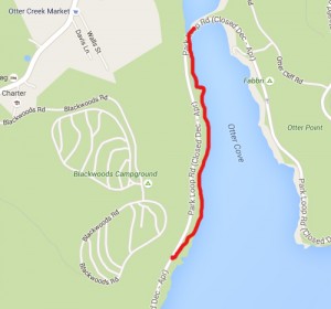 Coast Walk 11: Part 2 – the West Side of Otter Cove – The Coast Walk ...